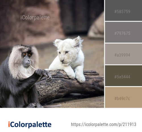 Color Palette Ideas from Wildlife Fauna Fur Image | iColorpalette