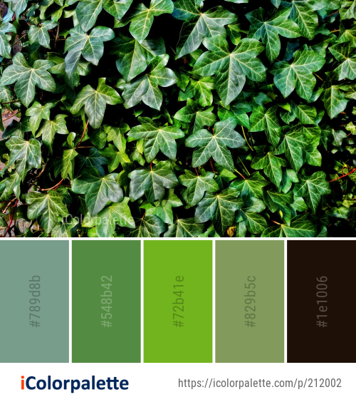 Color Palette Ideas from Plant Leaf Vegetation Image | iColorpalette