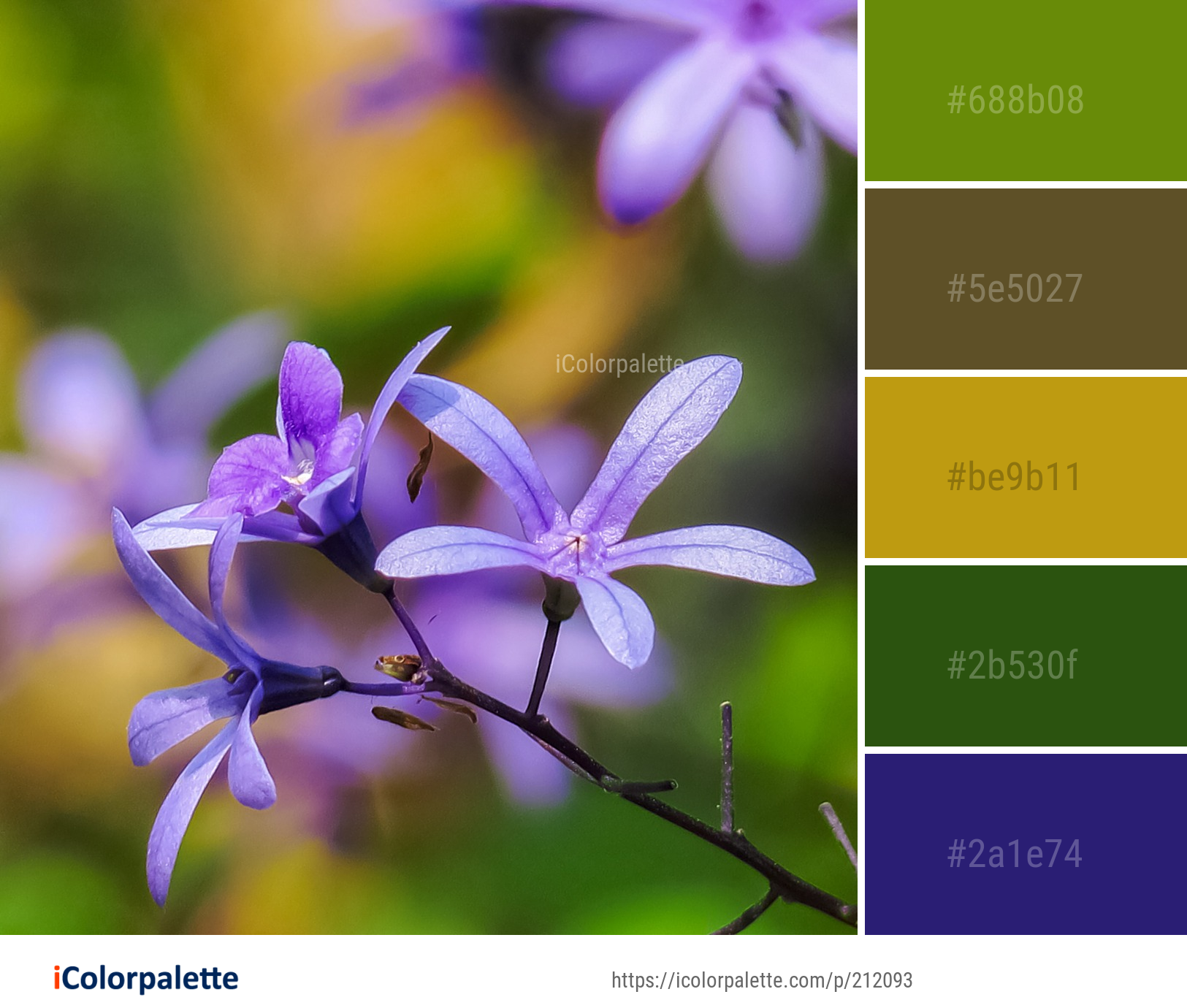 Color Palette Ideas from Blue Flower Flora Image | iColorpalette