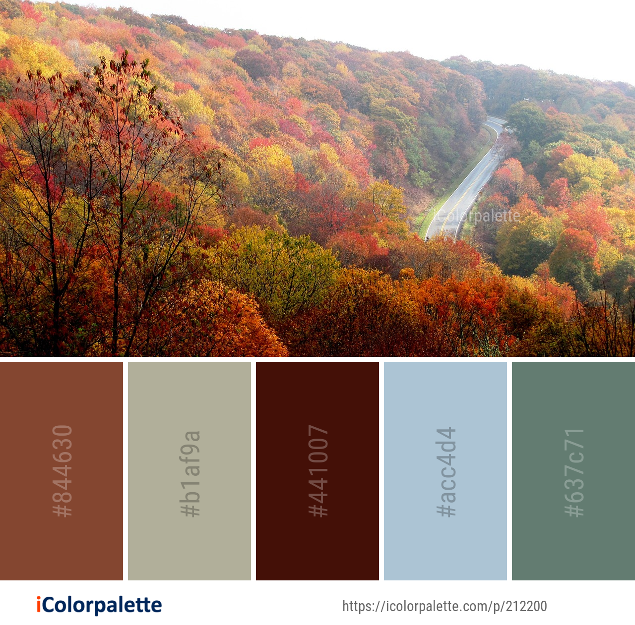 Color Palette Ideas from Nature Leaf Autumn Image | iColorpalette