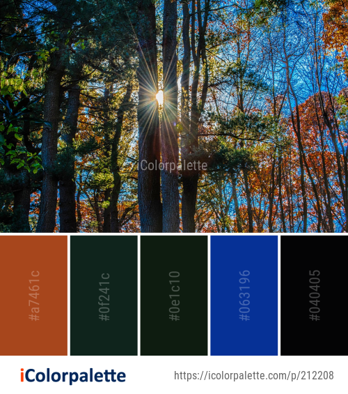 Color Palette Ideas from Nature Tree Leaf Image | iColorpalette