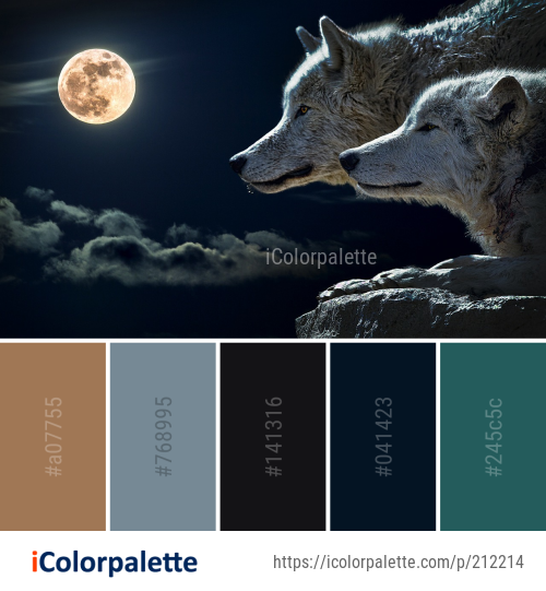 29 Full Moon Color Palette ideas in 2025 | iColorpalette