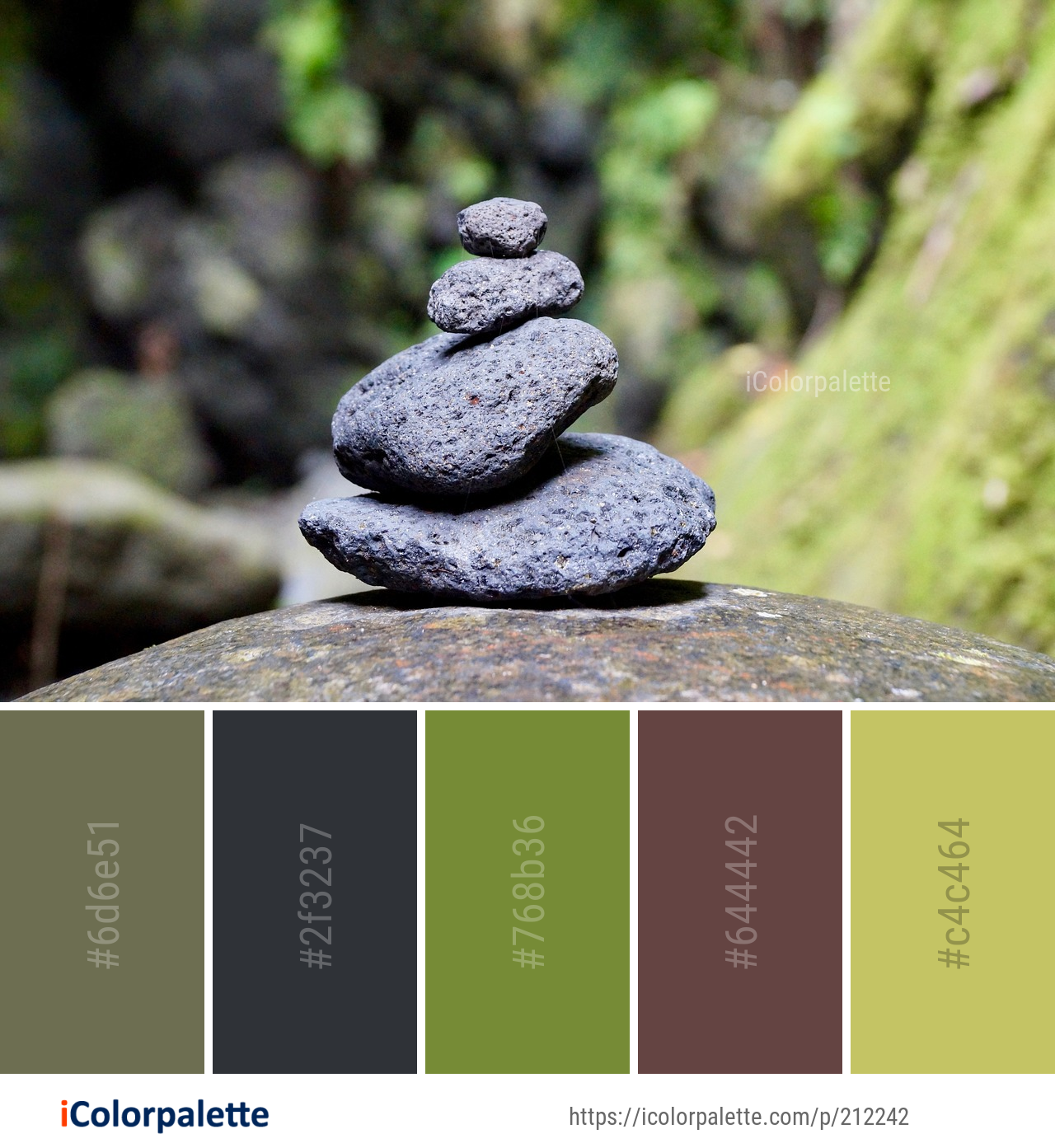 Color Palette Ideas from Rock Tree Image | iColorpalette