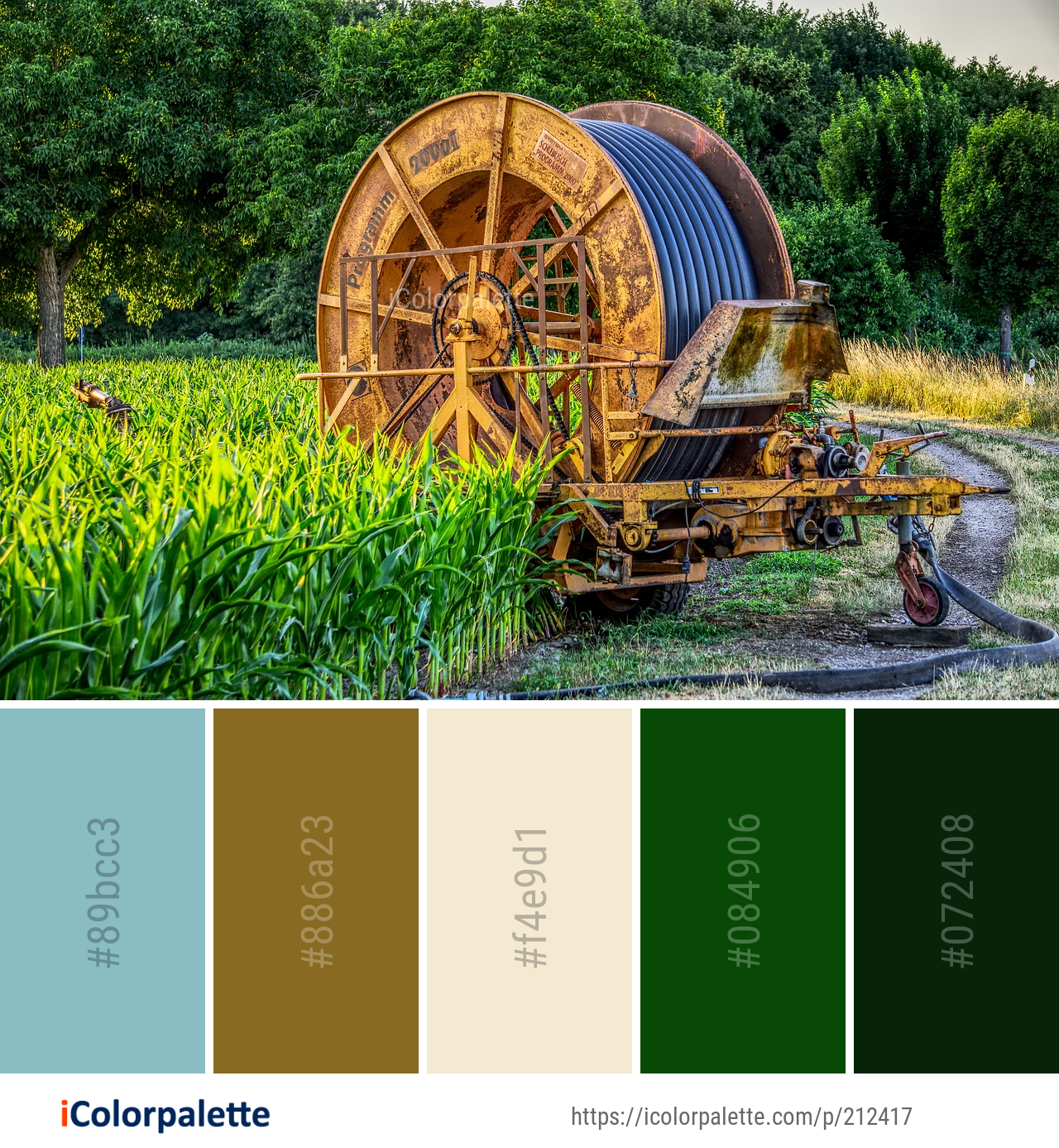Color Palette Ideas from Plant Field Grass Image | iColorpalette