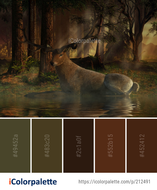 Color Palette Ideas from Wildlife Mammal Fauna Image | iColorpalette