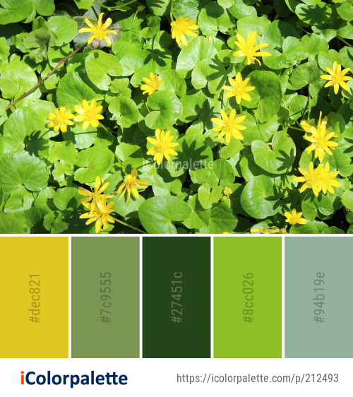 23 Hypericum Color Palette ideas in 2025 | iColorpalette