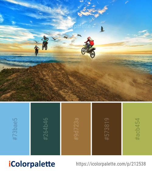9+ Racing Color Palette ideas in 2025 | iColorPalette