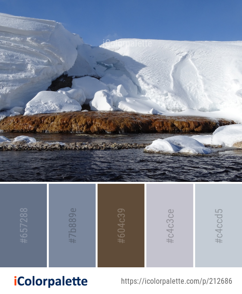 Color Palette Ideas from Iceberg Sea Ice Snow Image | iColorpalette