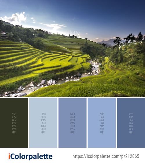 21 Terrace Color Palette ideas in 2025 | iColorpalette