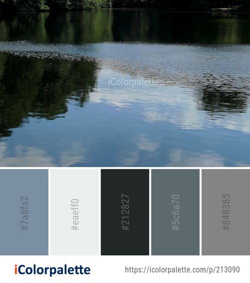 Color Palette Ideas from Reflection Water Body Of Image | iColorpalette