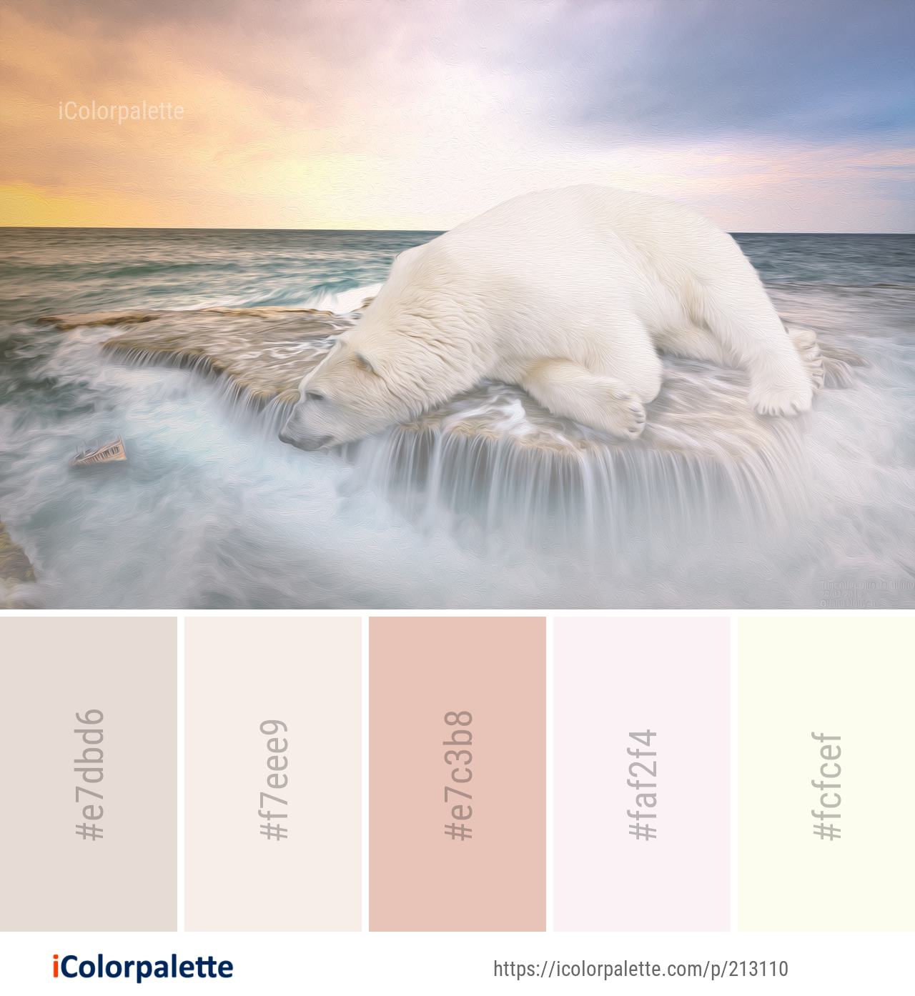 Color Palette Ideas from Polar Bear Image | iColorpalette
