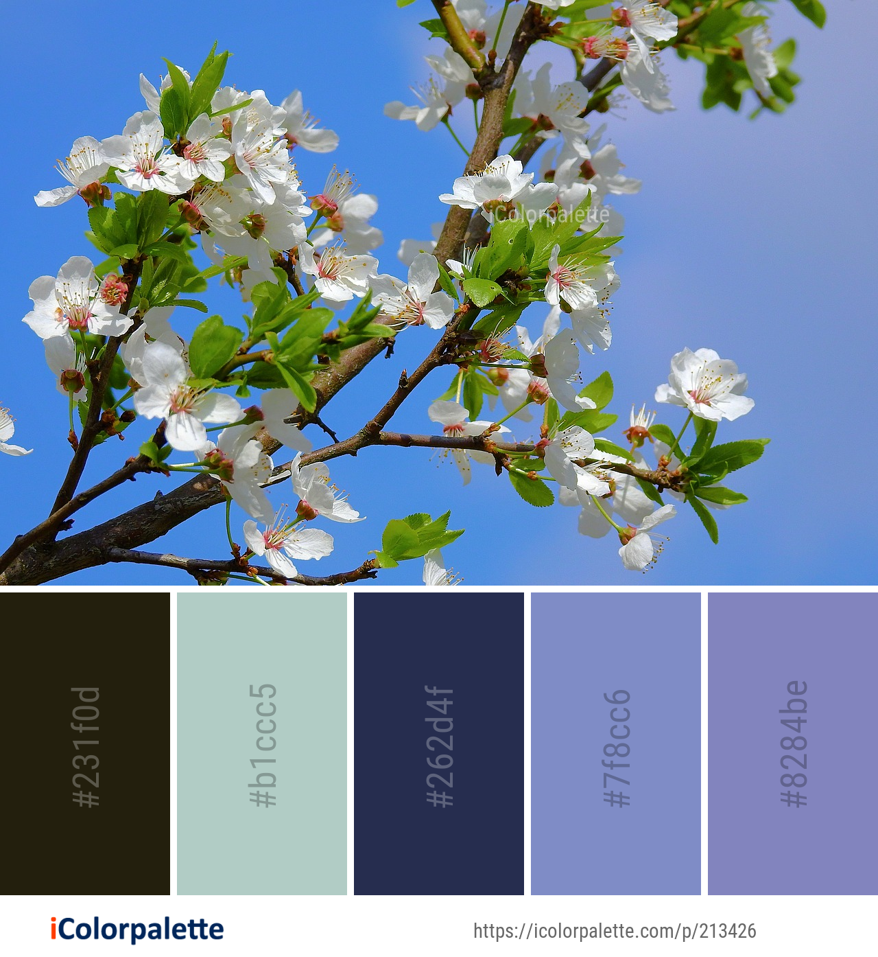 Color Palette Ideas from Blossom Branch Spring Image | iColorpalette