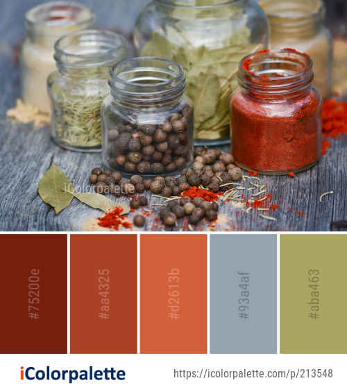 22+ Spice Color Palette ideas in 2025 | iColorPalette