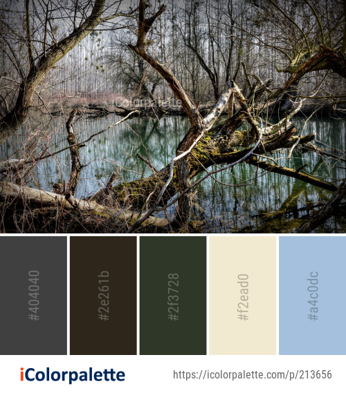39+ Swamp Color Palette ideas in 2025 | iColorPalette