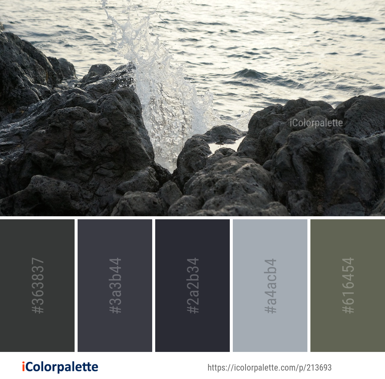 Color Palette Ideas from Sea Water Rock Image | iColorpalette