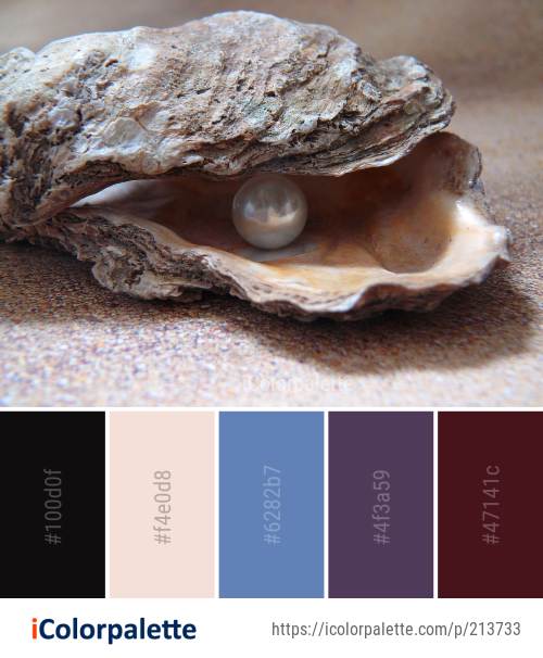 oyster – iColorpalette