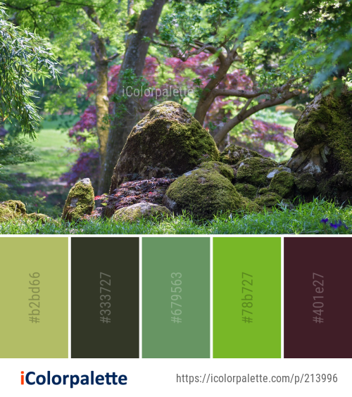 Color Palette Ideas from Nature Tree Vegetation Image | iColorPalette