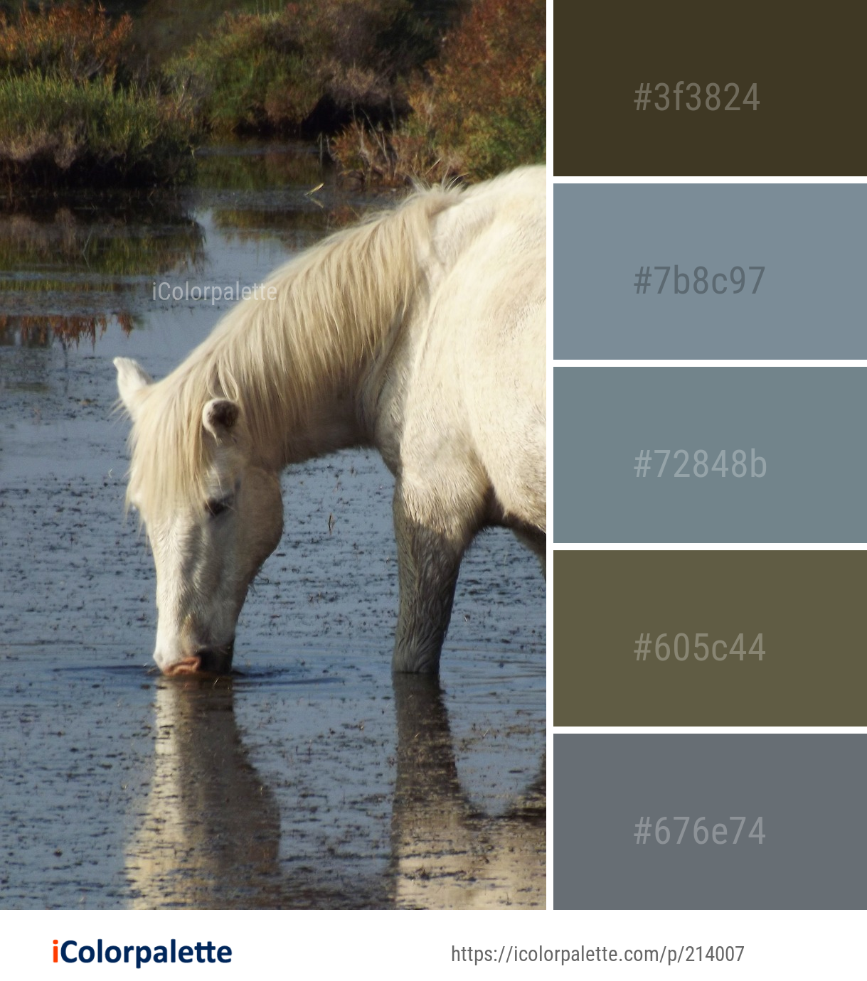 520+ Horse Color Palette ideas in 2026 | iColorPalette