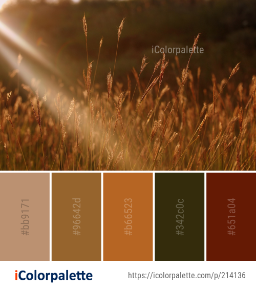 Color Palette Ideas from Grass Field Family Image | iColorpalette
