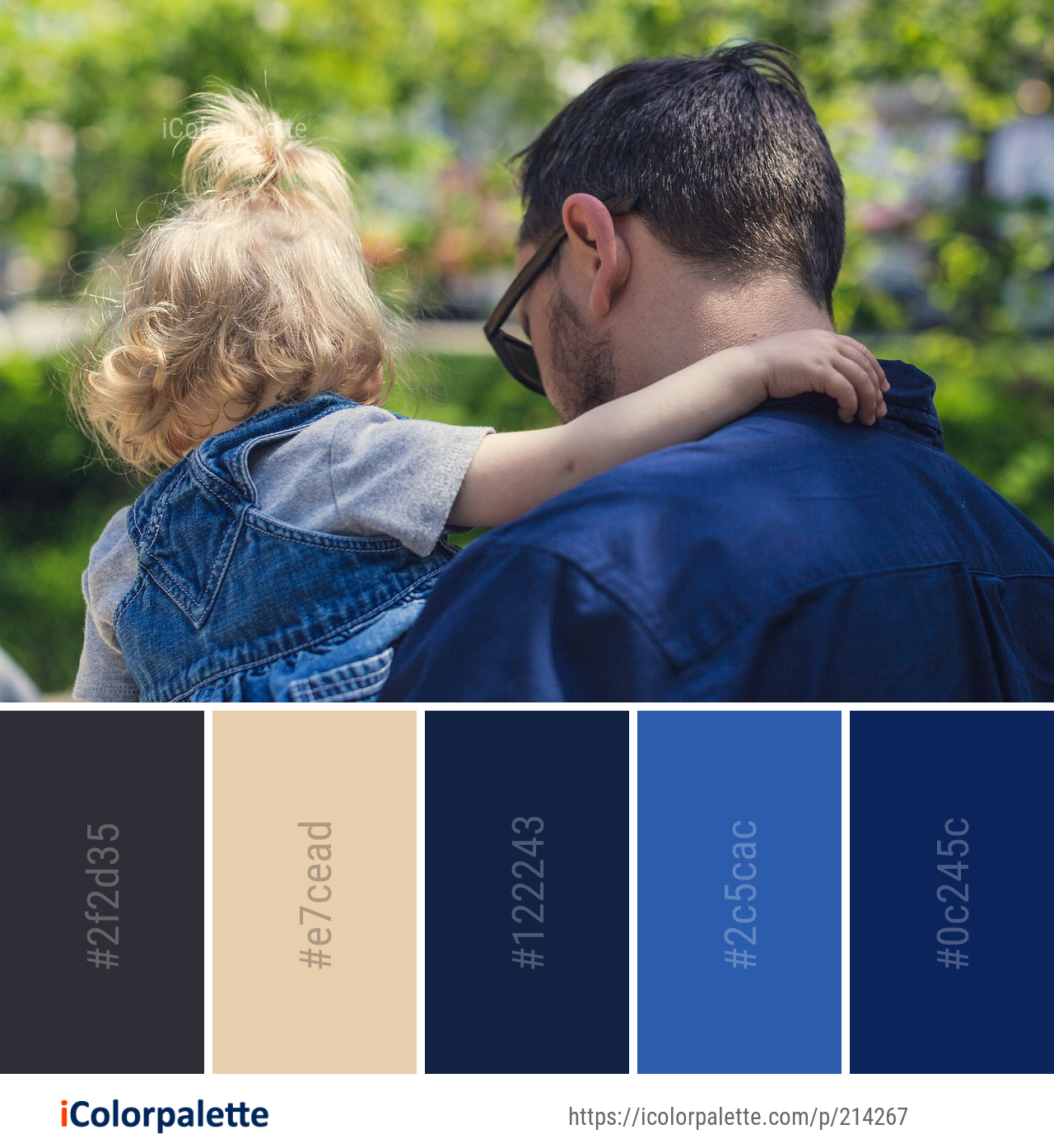 Color Palette Ideas from People Photograph Man Image | iColorpalette