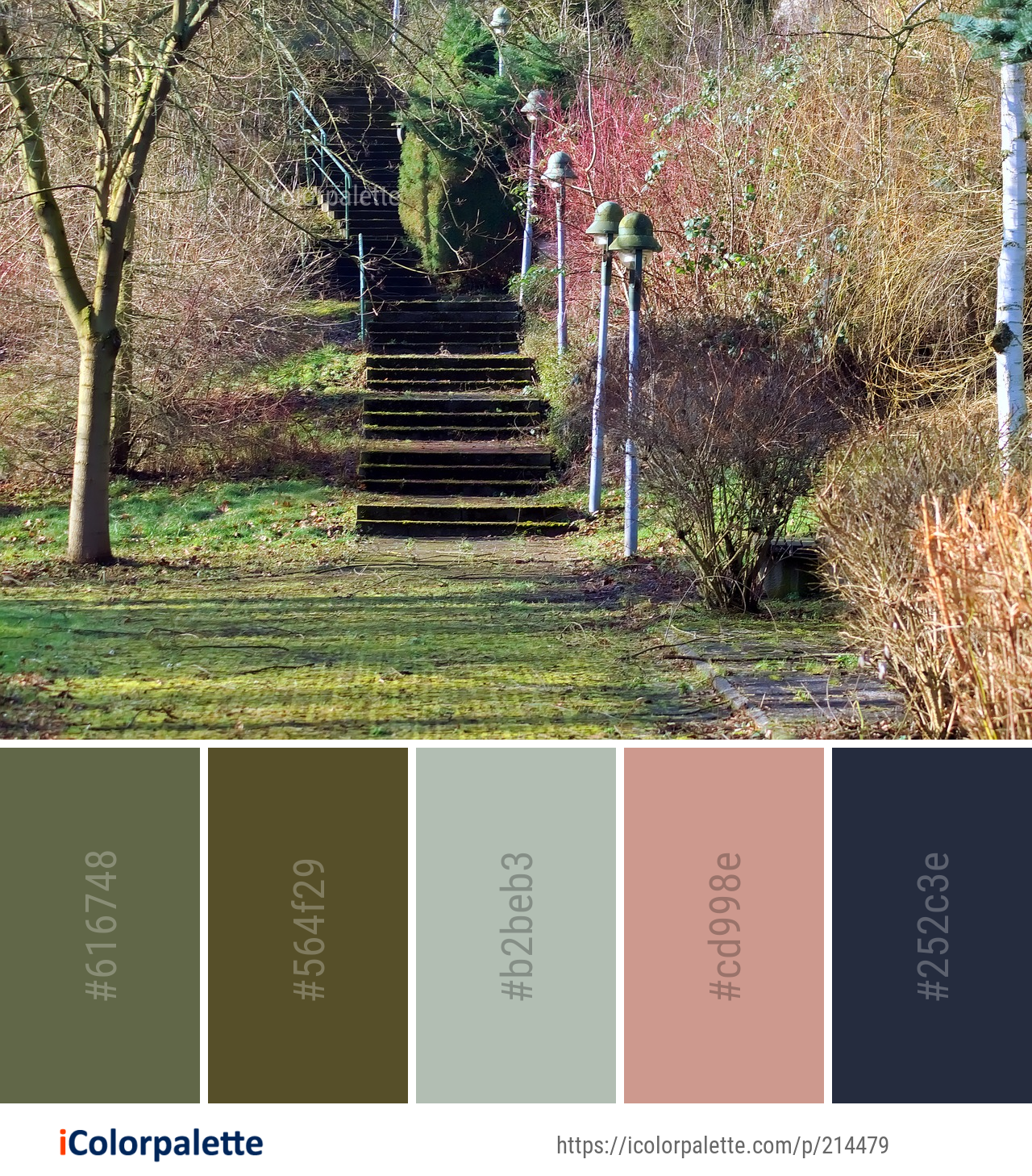 Color Palette Ideas from Nature Path Woodland Image | iColorpalette