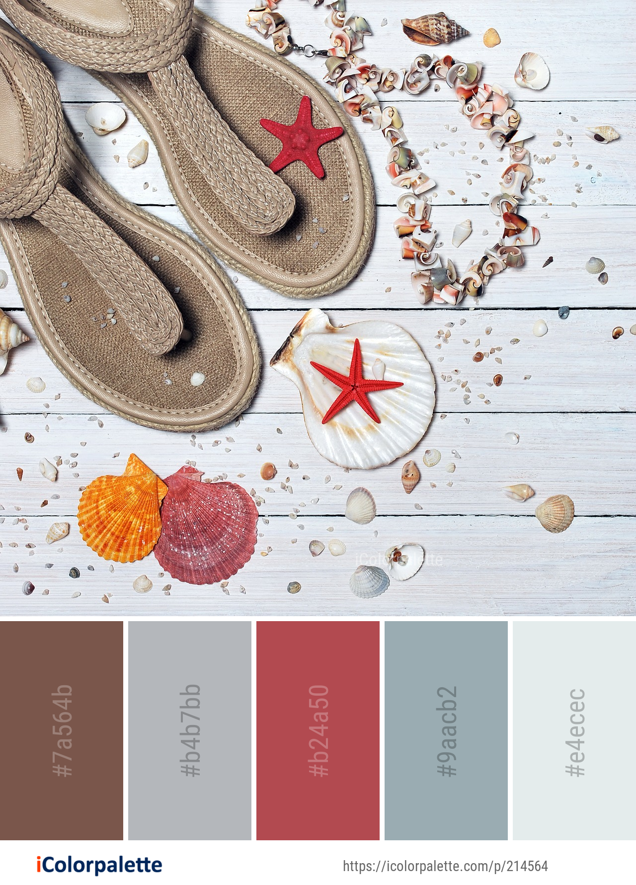 18+ Shoe Color Palette ideas in 2025 | iColorPalette