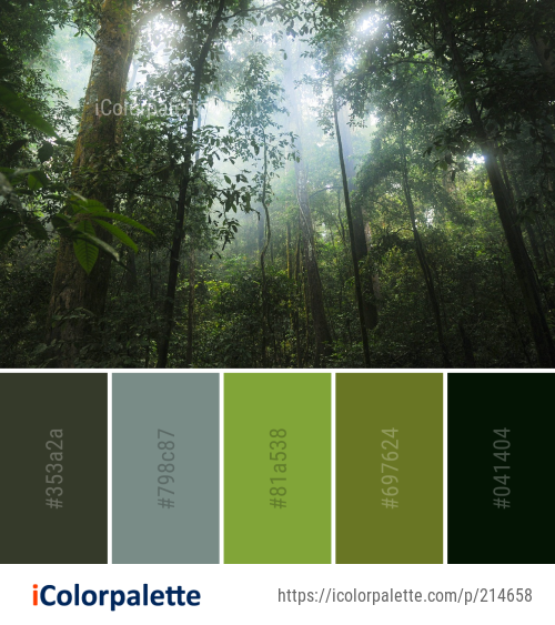 135+ Jungle Color Palette ideas in 2025 | iColorPalette