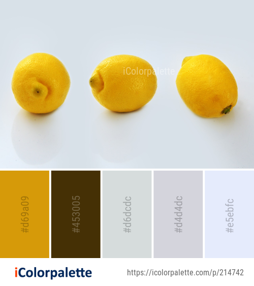 41+ Lemon Color Palette ideas in 2025 | iColorPalette