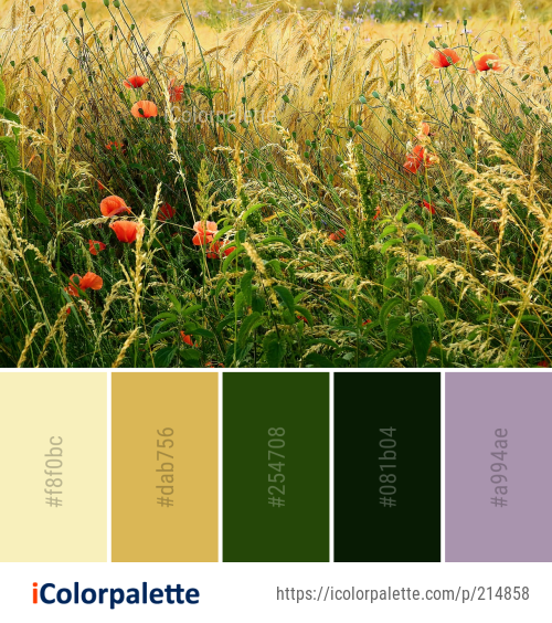 Color Palette Ideas from Ecosystem Flower Vegetation Image | iColorpalette