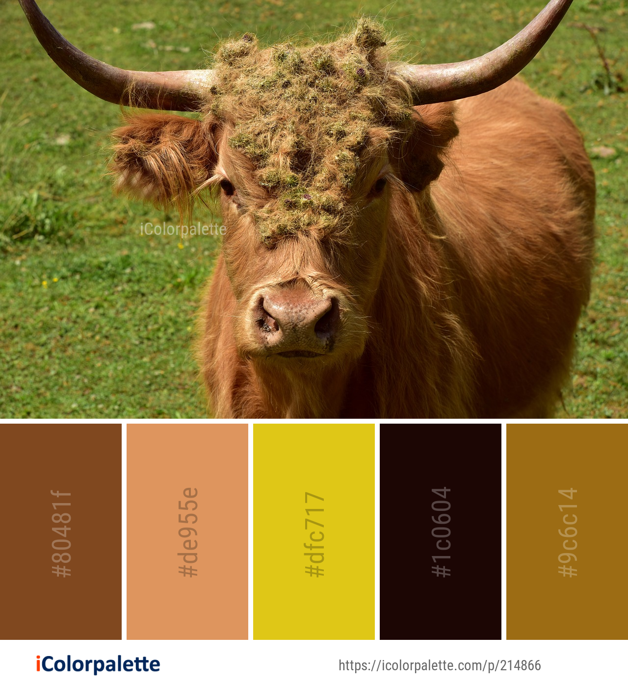 Color Palette Ideas from Horn Cattle Like Mammal Fauna Image ...