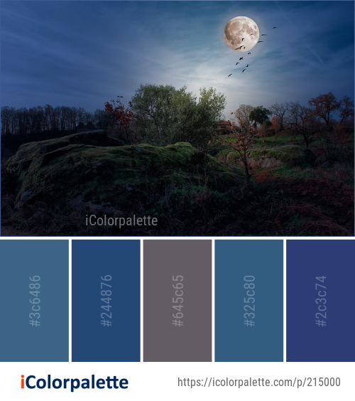102+ Moon Color Palette ideas in 2026 | iColorPalette