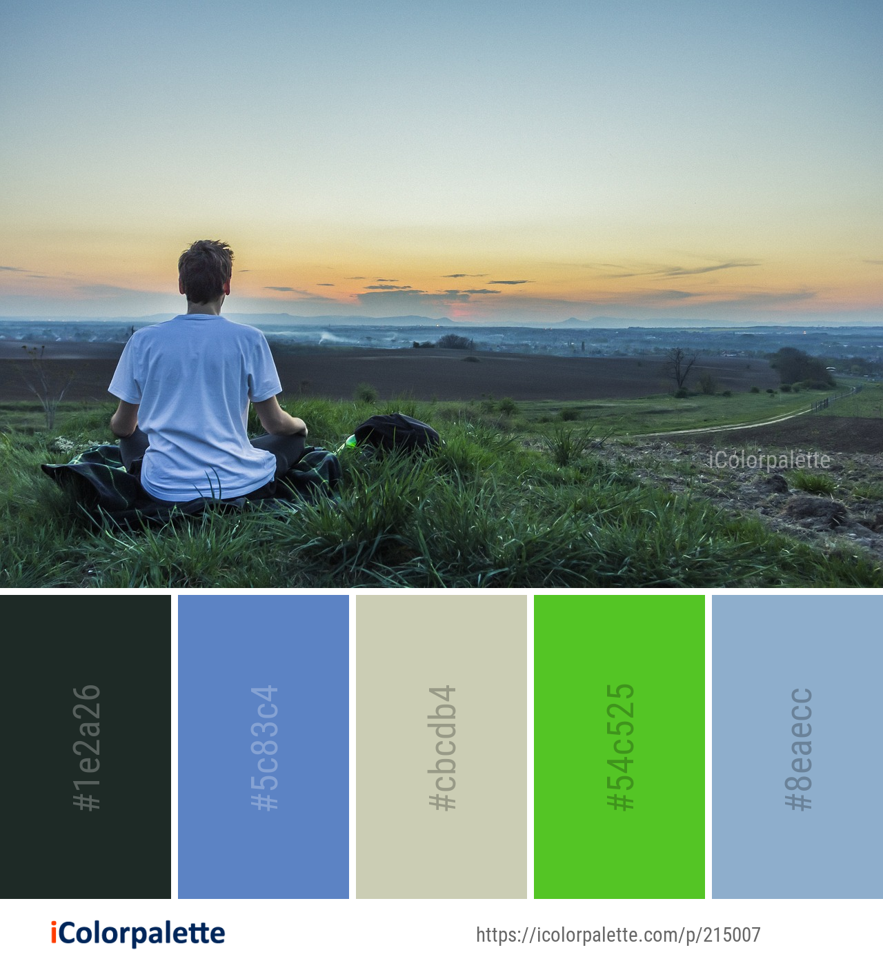 Color Palette Ideas from Sky Mountainous Landforms Grassland Image ...