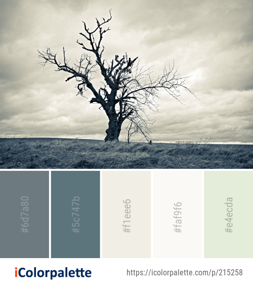 Color Palette Ideas from Sky Tree Cloud Image | iColorpalette