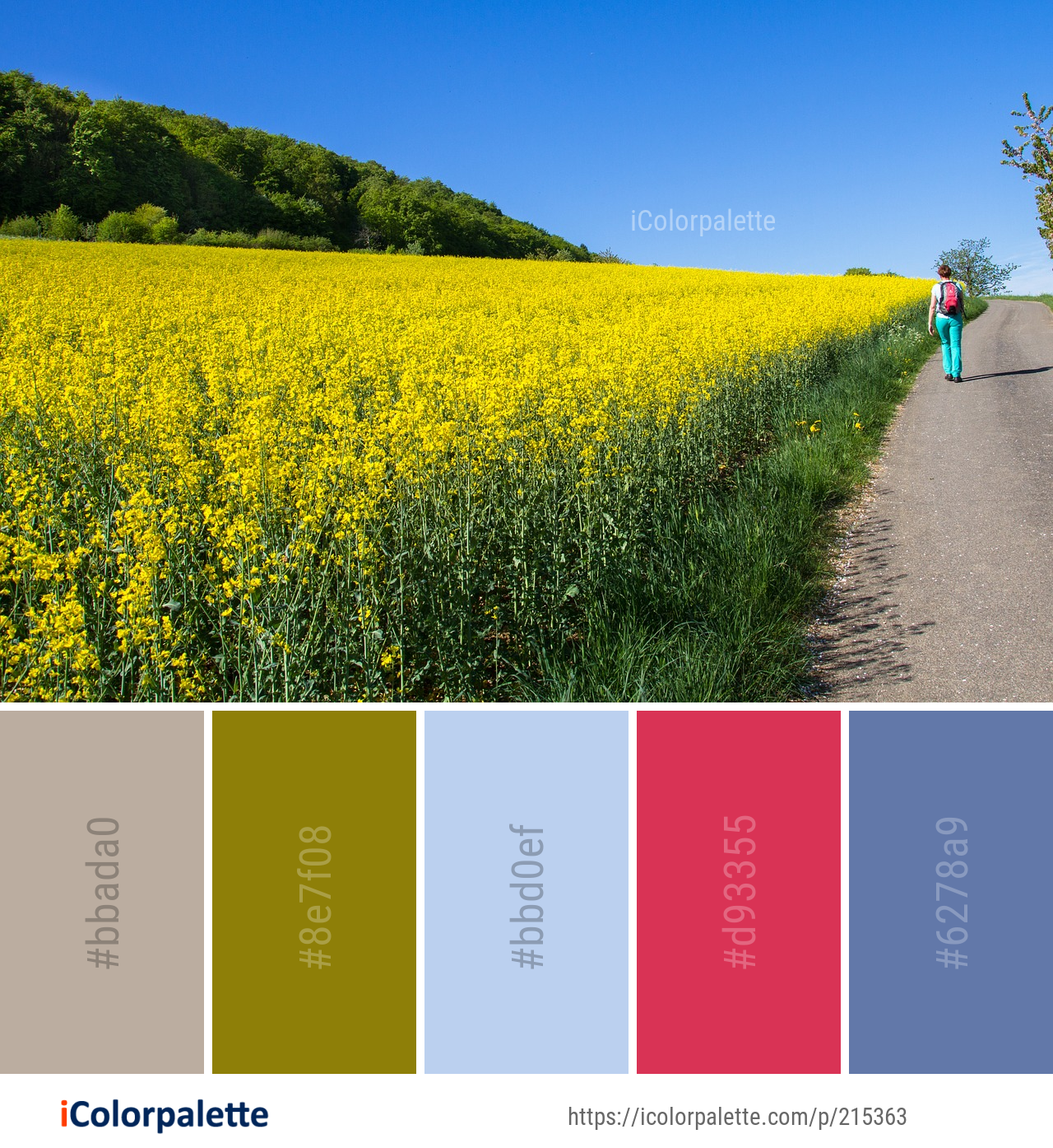 Color Palette Ideas from Yellow Rapeseed Field Image | iColorpalette
