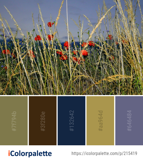 Color Palette Ideas from Ecosystem Wildflower Vegetation Image ...