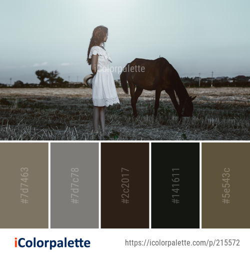 Color Palette Ideas from Horse Like Mammal Steppe Image | iColorpalette