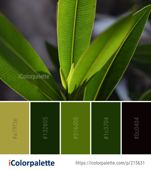15+ Banana Leaf Color Palette ideas in 2025 | iColorPalette