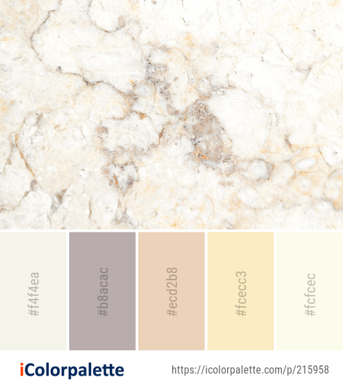 Color Palette Ideas from Material Marble Image | iColorpalette