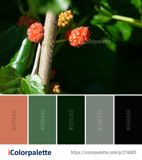 28+ Mulberry Color Palette ideas in 2025 | iColorPalette