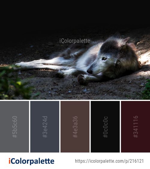 Color Palette Ideas from Wildlife Fauna Snout Image | iColorpalette
