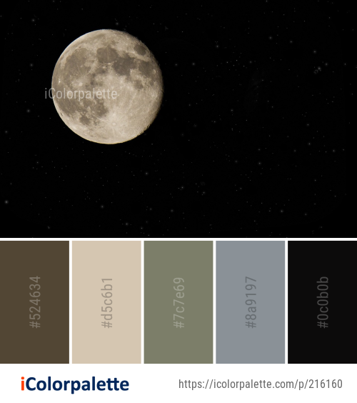 29 Full Moon Color Palette ideas in 2025 | iColorpalette
