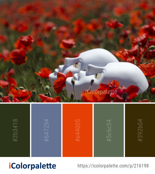 Color Palette Ideas from Flower Red Poppy Image | iColorpalette
