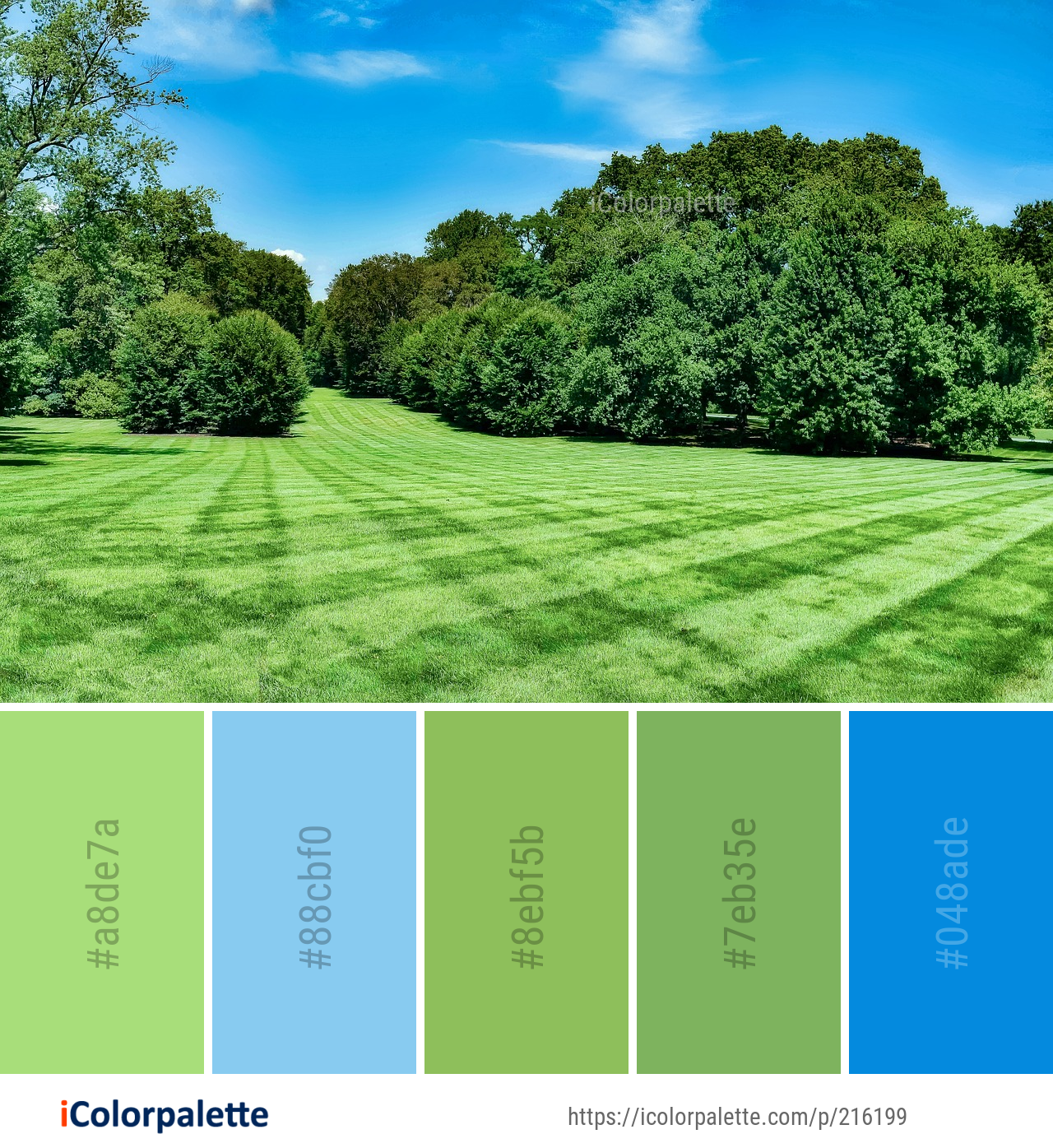 Color Palette Ideas from Lawn Vegetation Grassland Image | iColorpalette