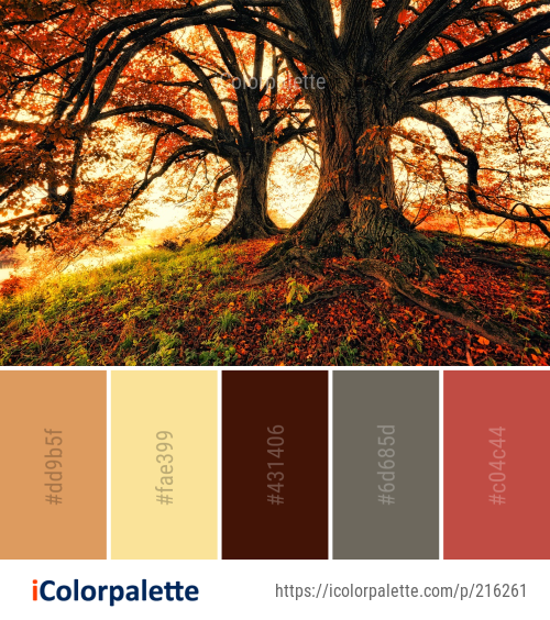 Color Palette Ideas from Nature Tree Leaf Image | iColorpalette