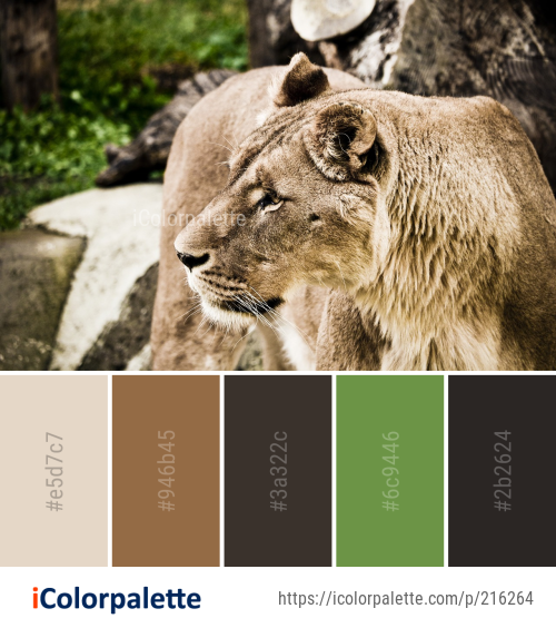 Color Palette Ideas from Wildlife Fauna Terrestrial Animal Image ...