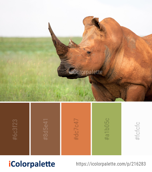219+ Horn Color Palette ideas in 2026 | iColorPalette
