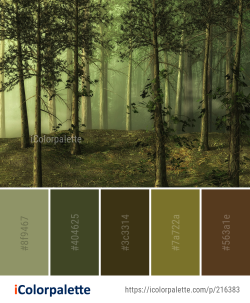 Color Palette Ideas from Ecosystem Forest Woodland Image | iColorpalette