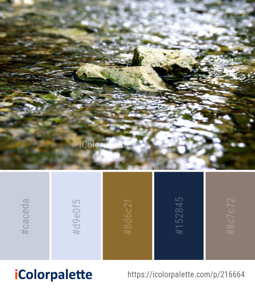 69+ Moss Color Palette ideas in 2025 | iColorPalette