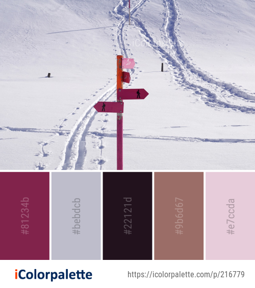 13 Ski Color Palette ideas in 2025 | iColorpalette