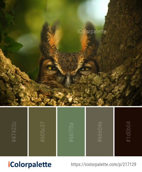 Color Palette Ideas from Fauna Bird Wildlife Image | iColorpalette